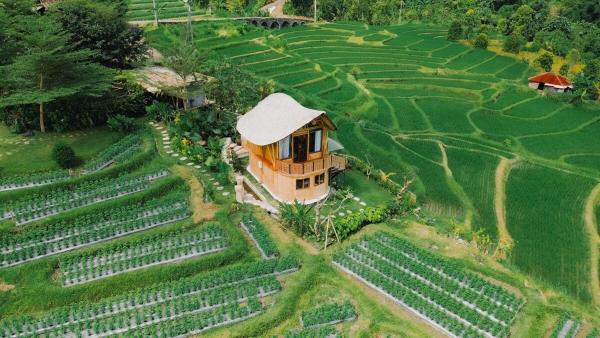 Nirwana Bamboo Villa Eco Retreat In North Bali - Munduk