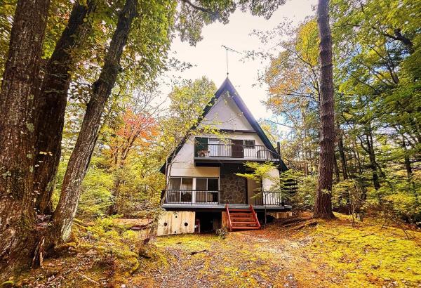 Kawa No Mori Villa Karuizawa - Ghibi-like Enchanted Riverside Moss Garden Forest Retreat - Agatsuma District