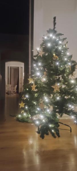 Loft Centro Ingresso Indipendente Giardino Privato - Catania