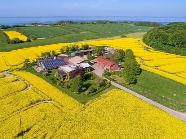 Ferienhaus Ostsee - Schleswig-Holstein
