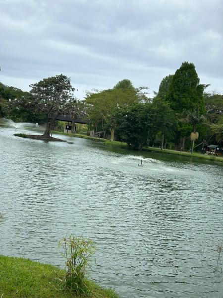 Eden Wilds 42 - Port Edward