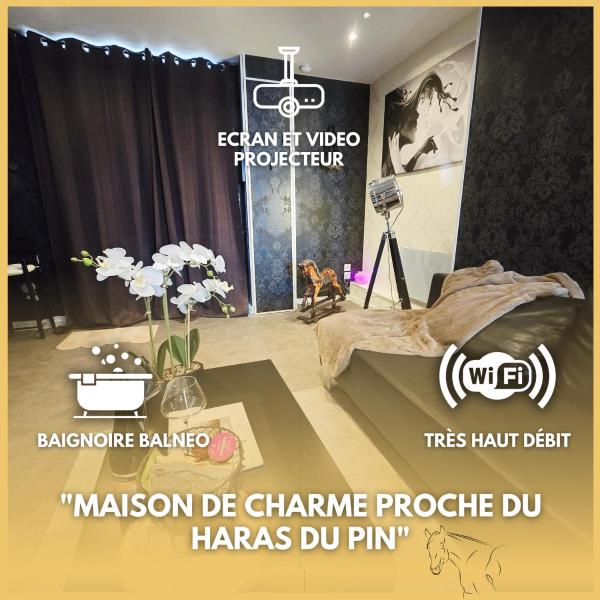 La Parenthèse Normande- Balnéo - Vidéo Projecteur - Argentan