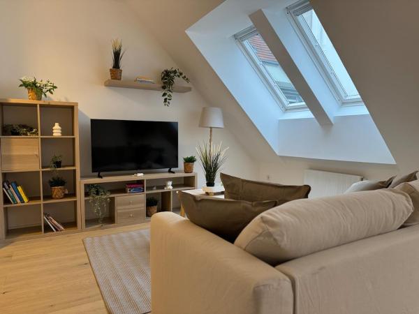 Train Station, 2br, Danube, Kahlenberg, Historic - Fhg 20 - Vienna