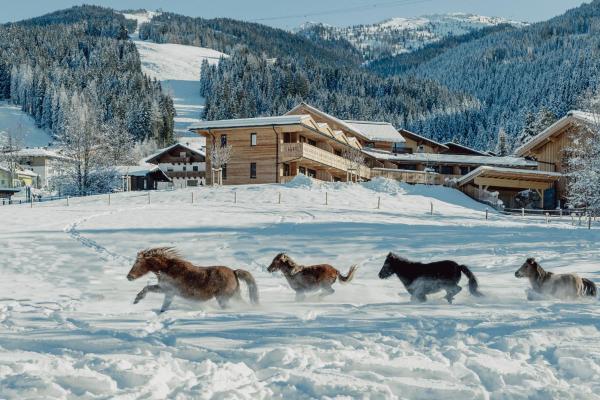 Mariengut - Natur Aparthotel Kramer - Zauchensee