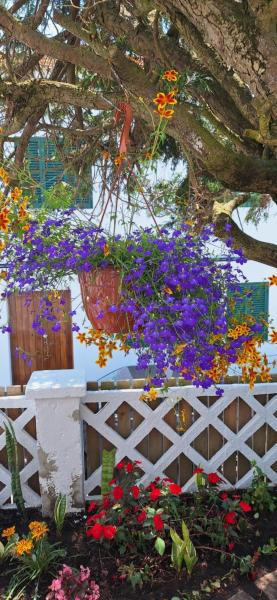 Pateo House - Portugal