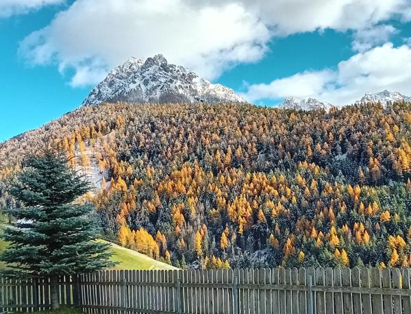 Lü De Terza - Kronplatz