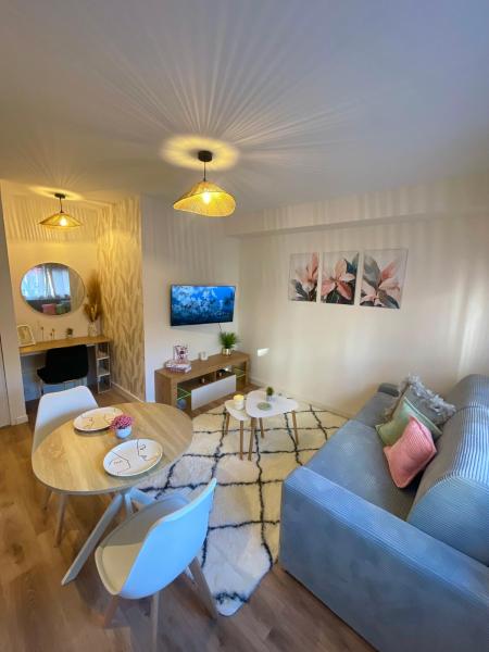 Charmant Studio, Coeur De La Ville - Aubière