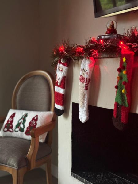 Casas Petite Province Tiradentes Refúgio Ao Pé Da Serra - Tiradentes