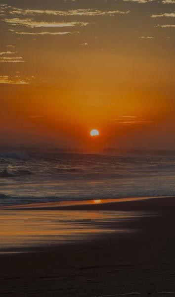 Rekawa Turtle Gate Hotel - Sri Lanka