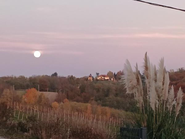 Tweet Apartments With Sauna And Optional Breakfast Close To Terme Sveti Martin - Lendava