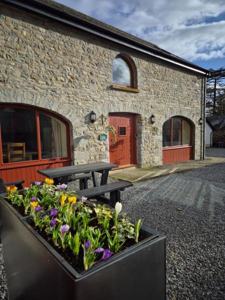 Hobby Stable Cottage - Llandovery