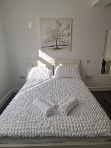 Albion's House Room Nr2 - Dunstable