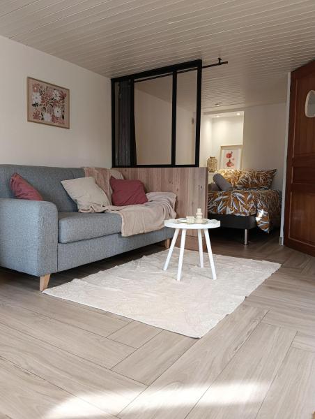 Studio Cosy Avec Alcôve Et Terrasse - Chambéry