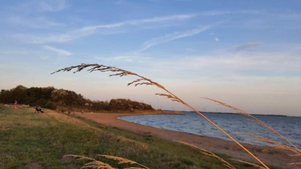 Holiday Home 'Rietvogel' - Zuid-Holland