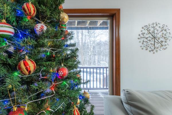 Horseshoe Acres - Home Theater, Spa Room, Hot Tub - New River Gorge National Park & Preserve