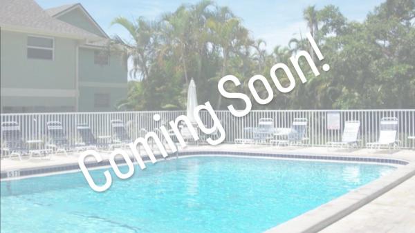 Seashells #42 - Sanibel, FL