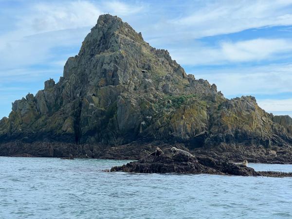 Carranade Yacht - Torquay, UK