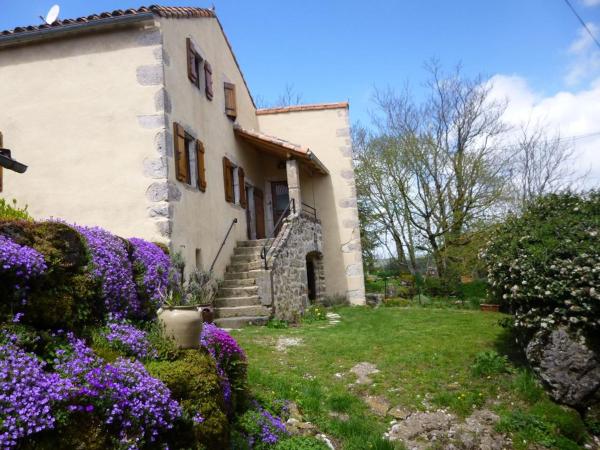 Les Orchis - La Couvertoirade