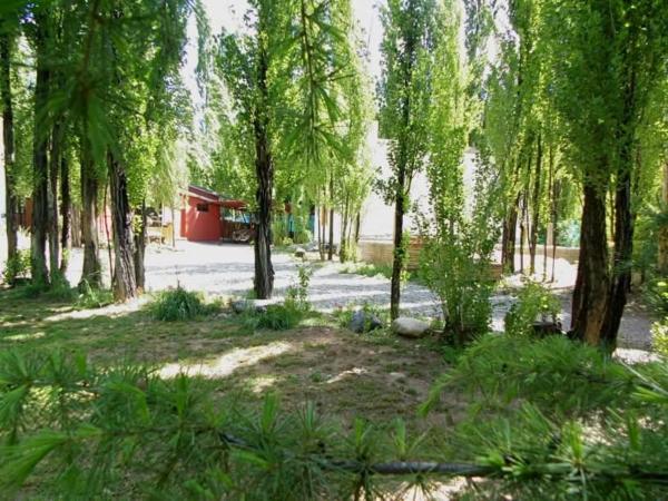 Los Abedules Bungalow - Homestay - Malargüe