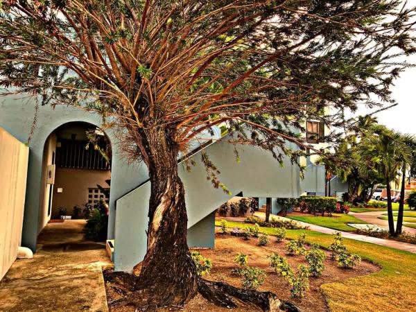 Selah | Travelers Nesters In Palmas Del Mar - Porto Rico