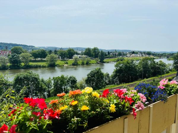 Spacious 72 Sqm Moselblick Apartment & Top Connection - Trèves