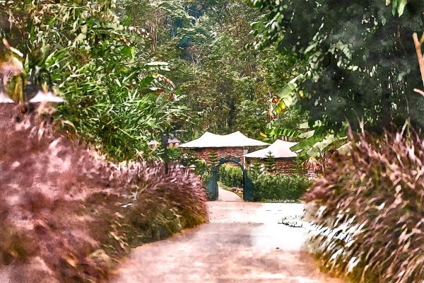 Mornery The Riverside - Doi Saket District