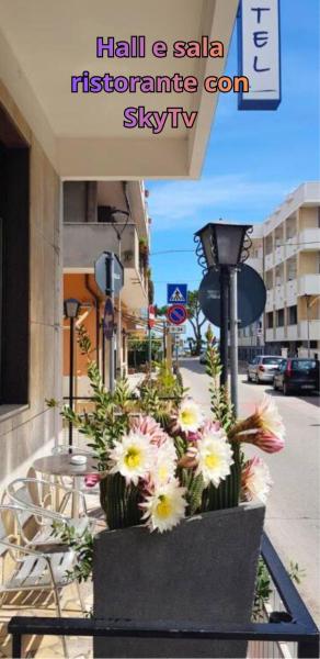 Hotel Blurelda - Pineto