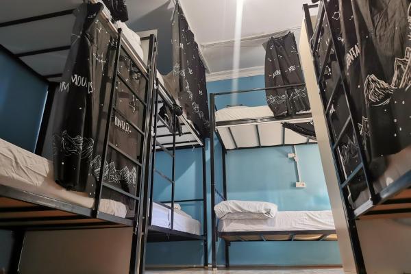 Harmony Backpackers Hostel - Batumi