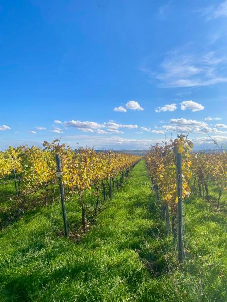 Kstay Apartment-kombi Im Eg Und Dg Für Bis Zu 8 Personen Mit Dachterrasse, Parkplätzen, Smart-tvs - Wiesbaden