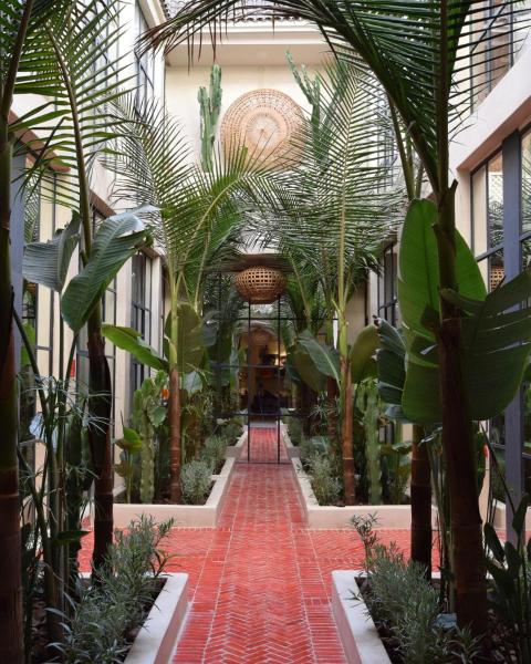 Miostello Lifestyle Riad Marrakech - Marrakesh