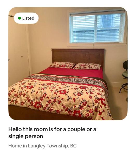 Lily Rentals - Langley