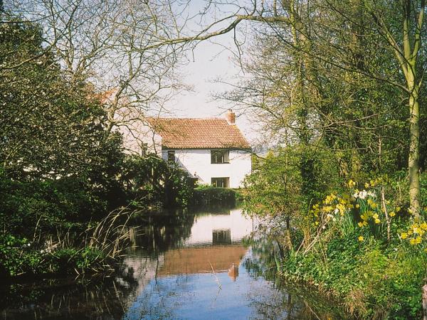 Maxmills Cottage - E1852 - Devon