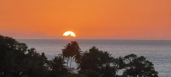 Coco Carïb - Cabane Vue Mer & Massages - Deshaies
