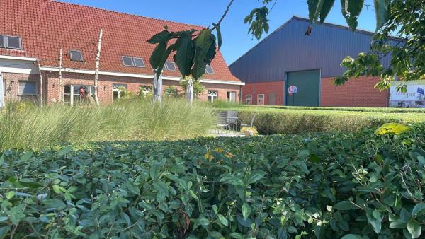 B&b De Zandput - Ham