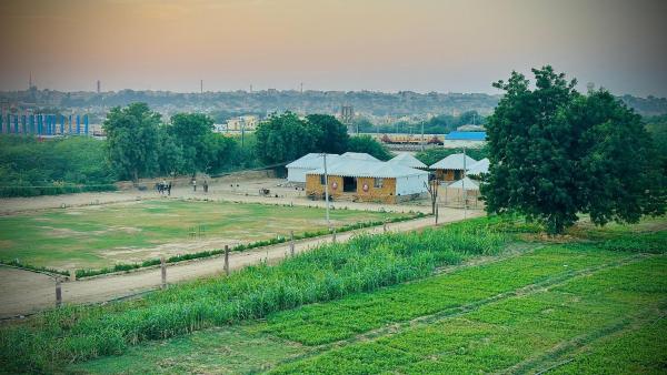 The Farm Stay Jaisalmer - Jaisalmer