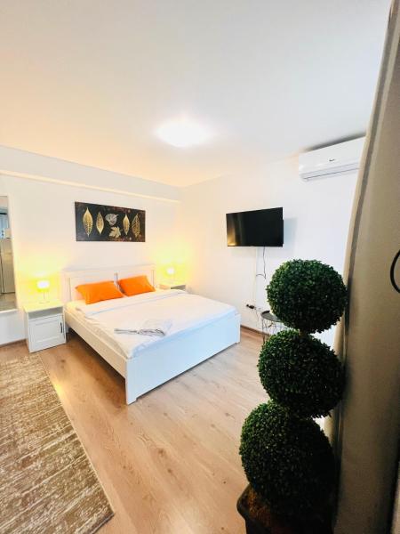 Airport Gardens Studio - Buftea