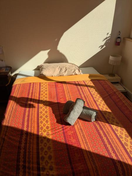 Chambre Cozy, Vue Sur Jardin, Proche Tram Centre Ville & Aéroport - Toulouse