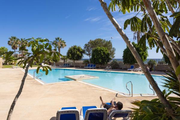 Los Martinez Nice 2 Bedroom Penthouse - San Isidro, Alicante