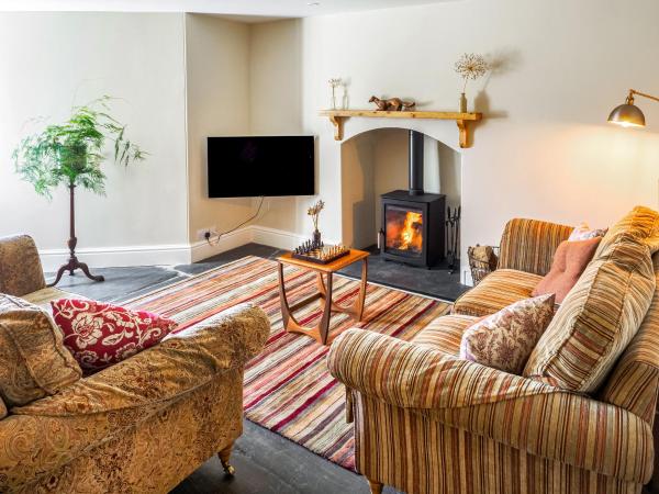 Hollyhock - Tavistock