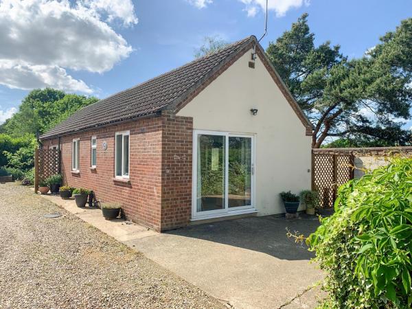 The Conifers - Norfolk