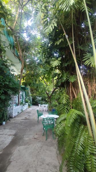 Casa Santaella - Puerto Escondido