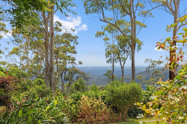 Tamborine Mountain Lodge - Canungra
