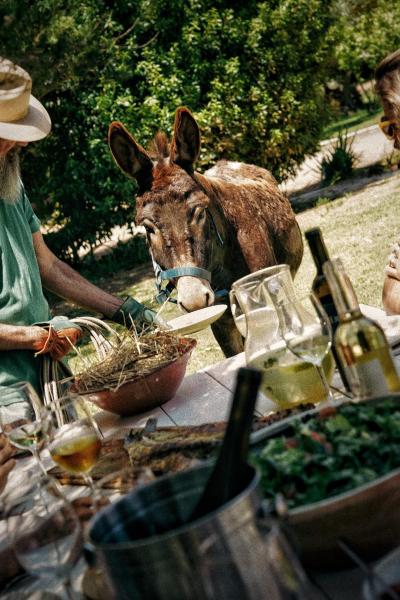 Cabra - Porto Covo - Porto Covo