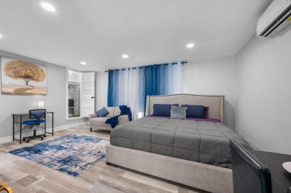 Spacious King Studio With Fast Wifi & Desk - Houston