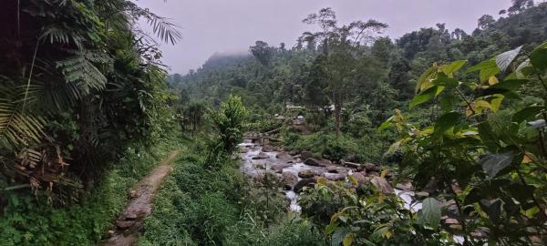 Rongo Orange Valley Camp&cottages - China