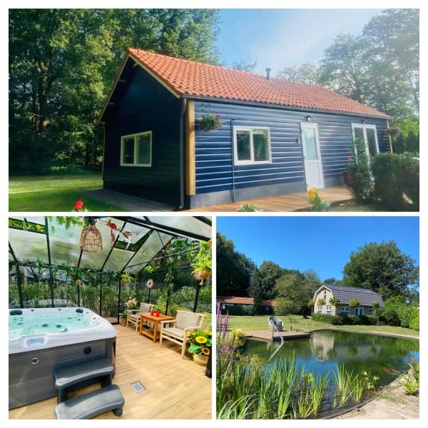 Morning Glory, Huisje Forest - Deventer