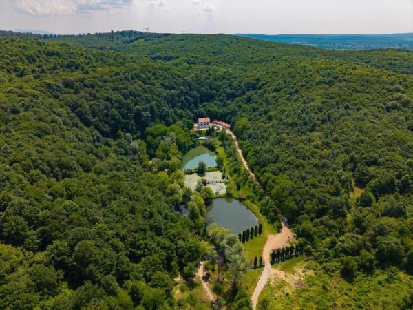 Domeniul Caprioara - Arad