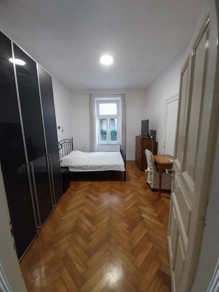 Central 1 Bedroom Apartment - Zagreb