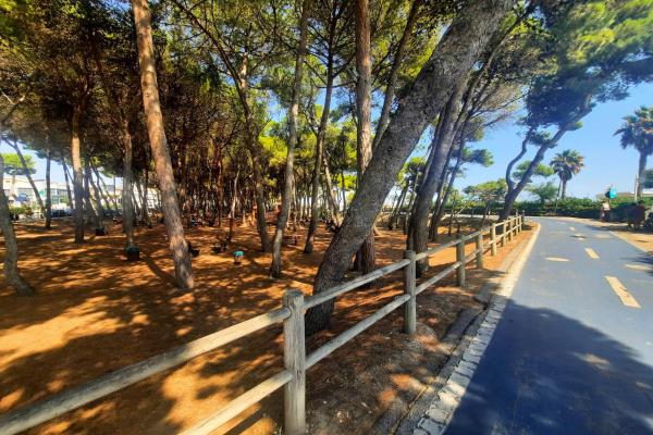 Appartamento Pinolo Trilo Int 8 - Myho Casa - Tortoreto