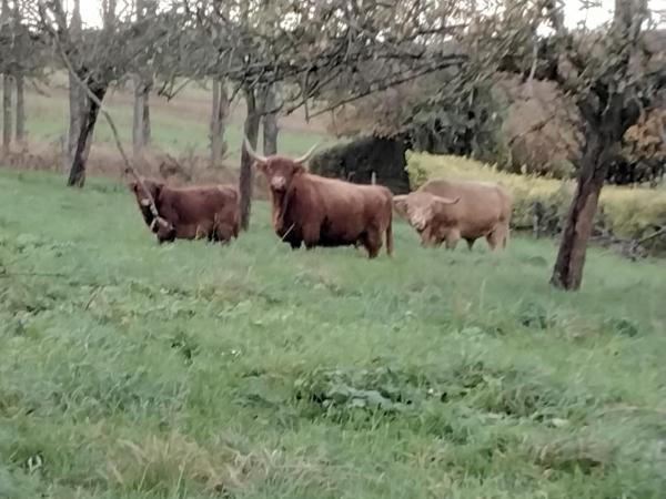 Séjour Familial La Campagne - Normandie